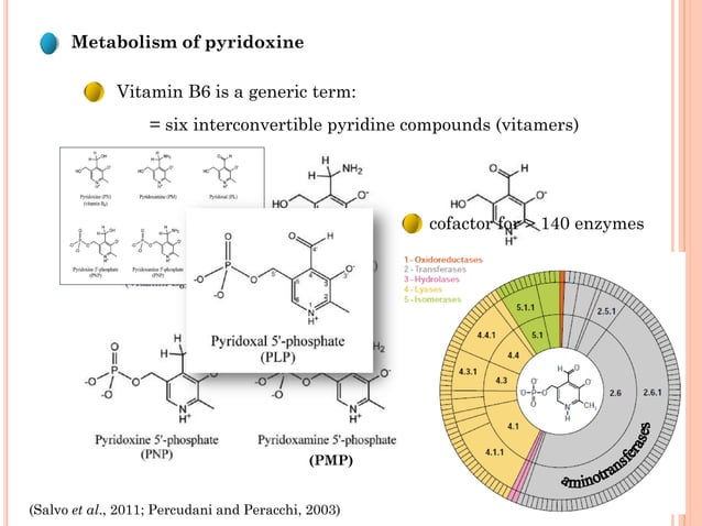 Genetic Basis of Pyridoxine-Responsive Neonatal Epilepsy in ...