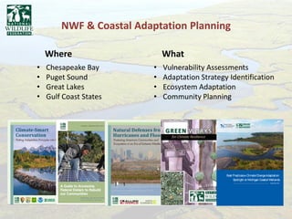 Hilke GMC Community planning | PPT