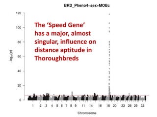 Genomics. Shaping the future from the past. | PPT