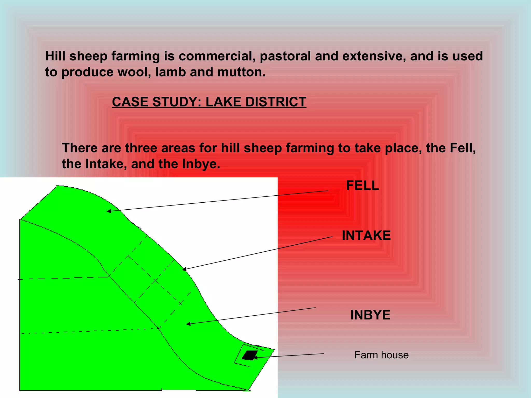 Hill Sheep Farming | PPT