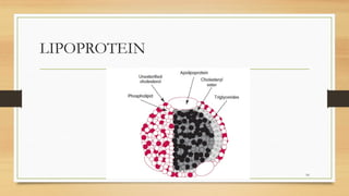Classification and metabolism of lipids.pptx