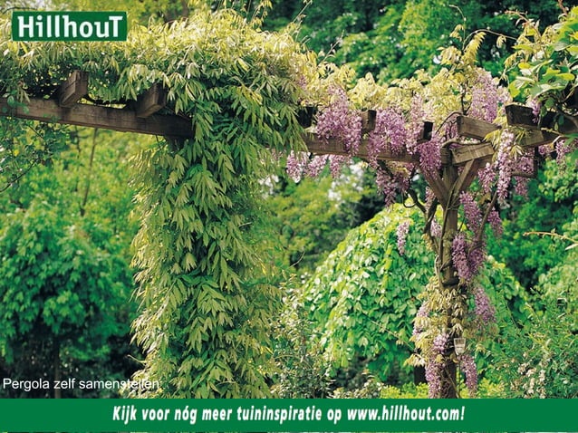 Pergola slideshow - Hillhout | PPT