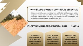 Hillside Erosion Control Products: Protecting Slopes and Preventing ...