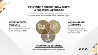 Hillside Erosion Control Products: Protecting Slopes and Preventing ...