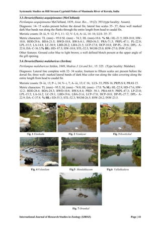 Hill stream cyprinid fishes paper published | PDF