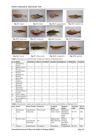 Hill stream cyprinid fishes paper published | PDF