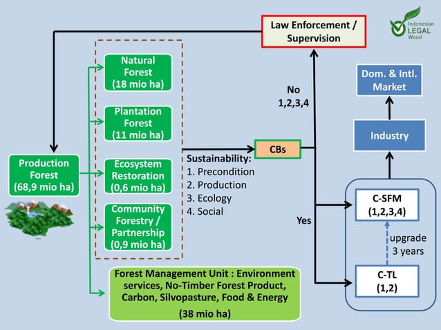 Forest sustainability, timber legality assurance system, FLEGT and ...