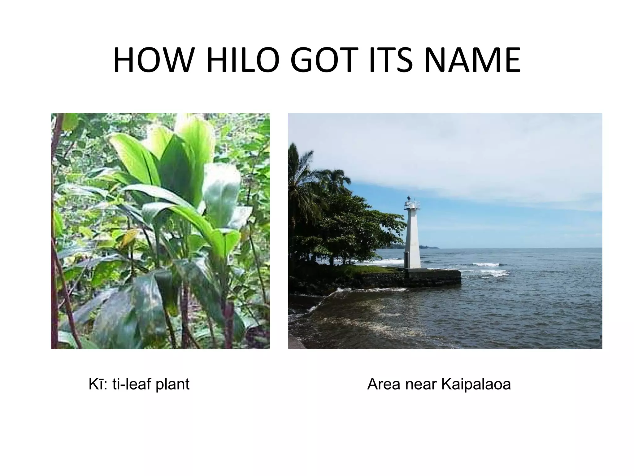 Hilo moolelo | PPT