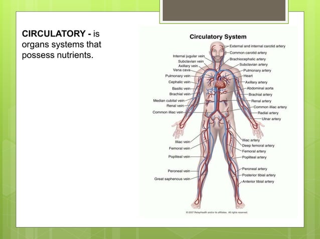 Hilot( Wellness Massage) NCII.pptx | Holistic Health | Alternative Medicine