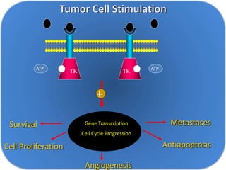 Targeted Therapies in Cancer | PPTX