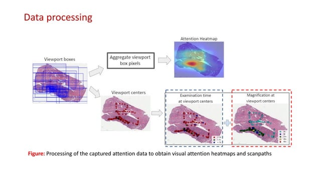 Pathomics, Clinical Studies, and Cancer Surveillance | PPT