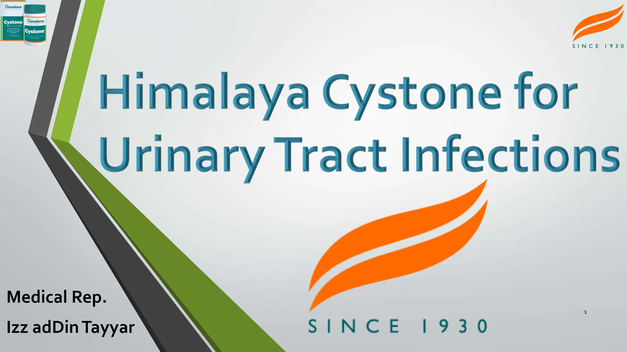 Himalaya Cystone for Urinary Tract Infections1.pptx