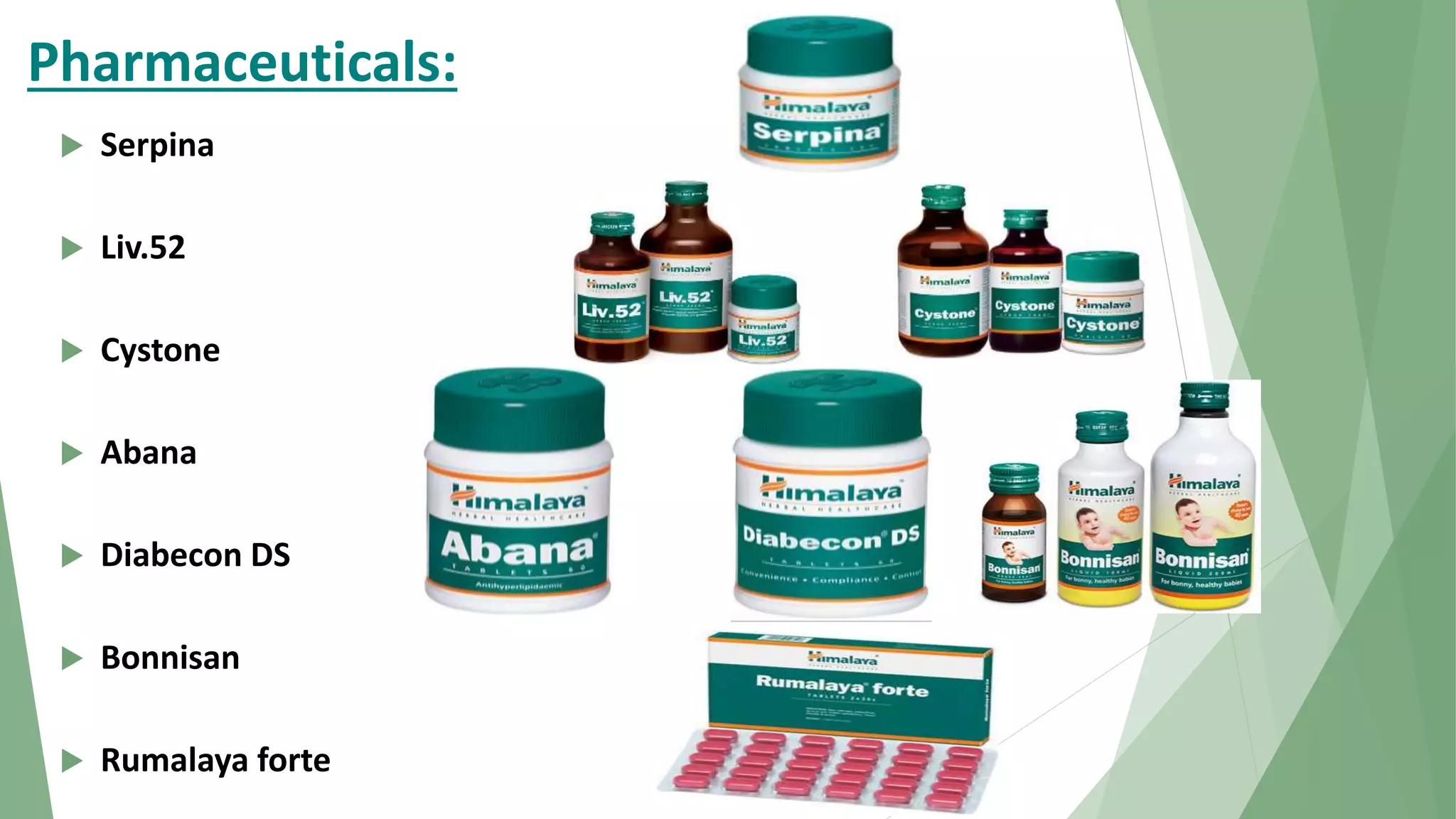 Introduction to Himalaya Company | PPSX