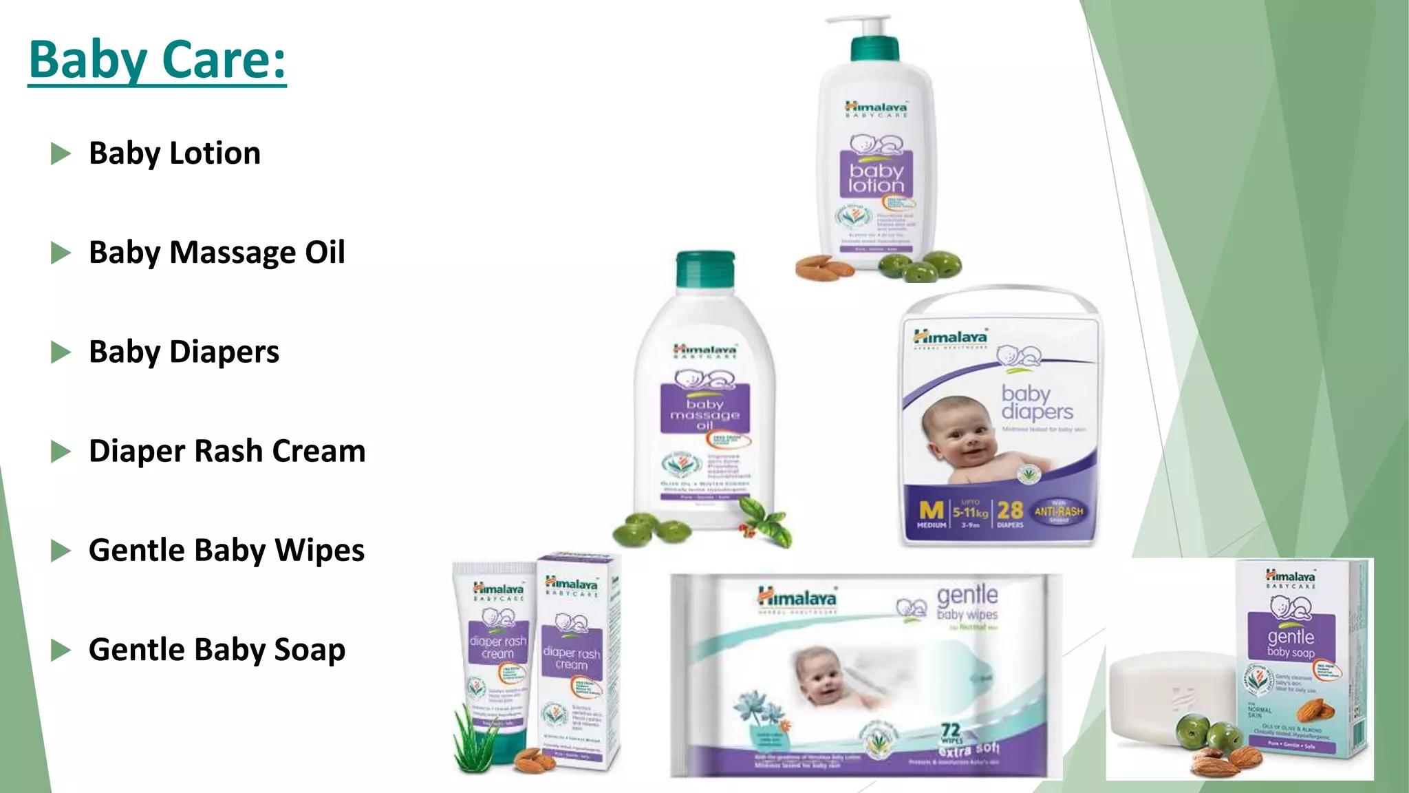 Introduction to Himalaya Company | PPSX
