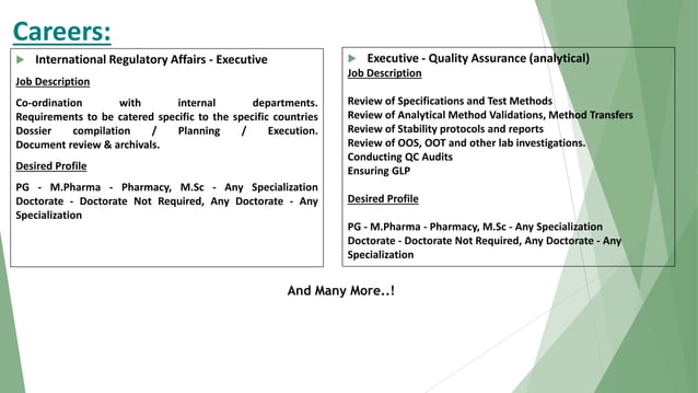 Introduction to Himalaya Company | PPSX