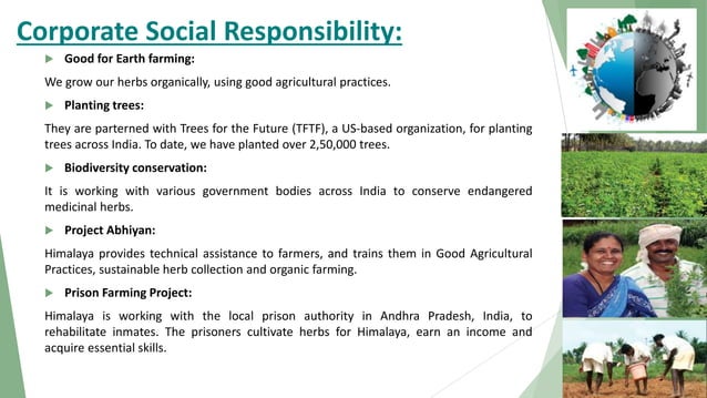 Introduction to Himalaya Company | PPSX