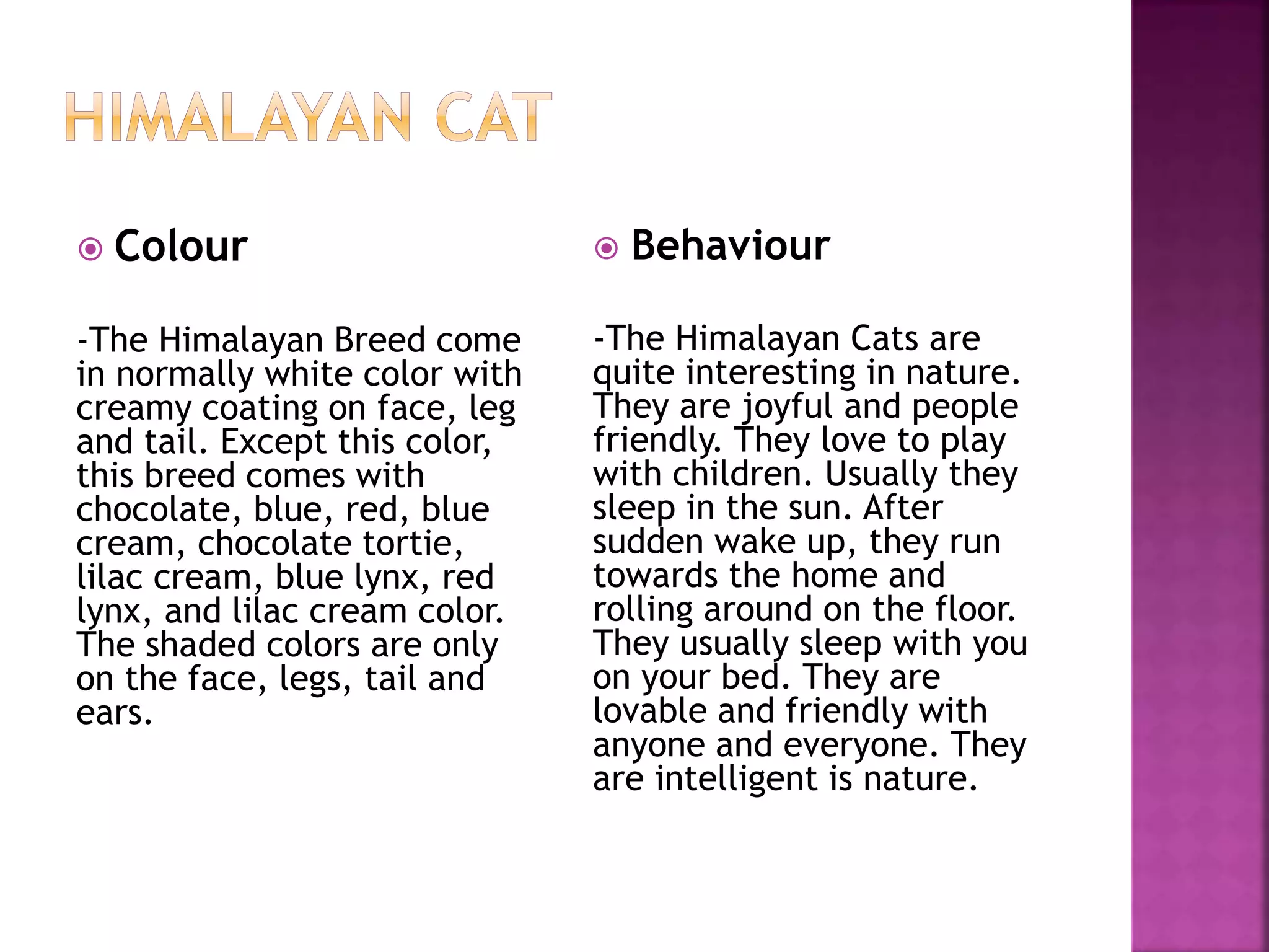 Himalayan cat breed | PPTX