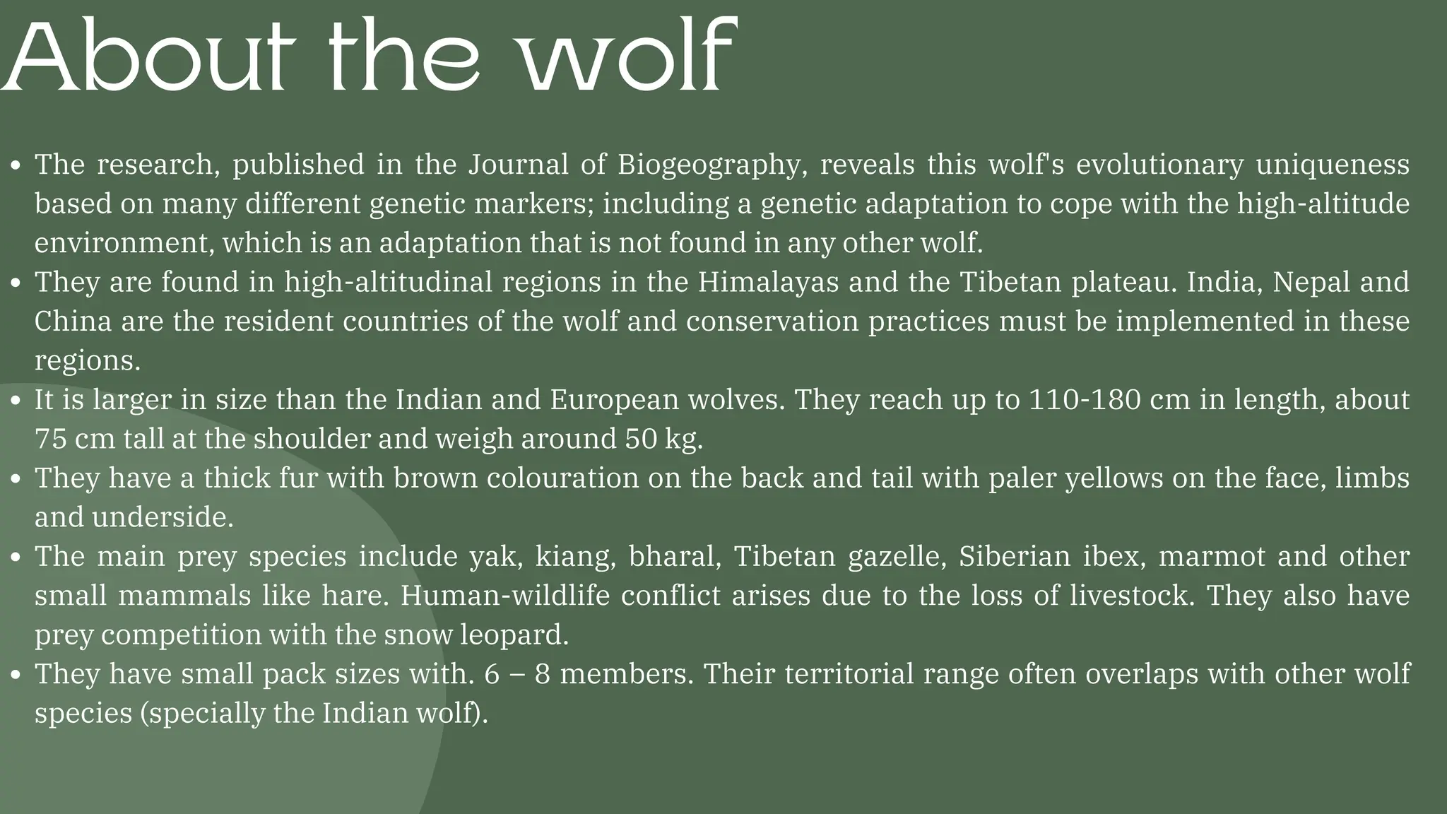 HIMALAYAN WOLF.pdf