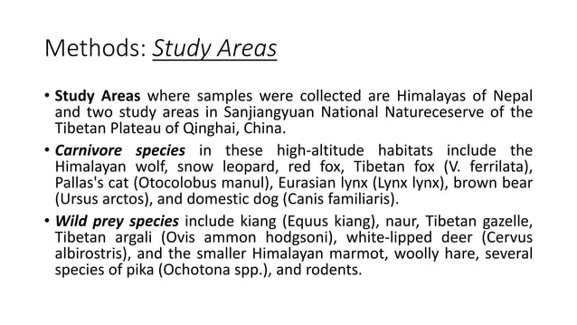 Himalayan Wolf Foraging.pptx