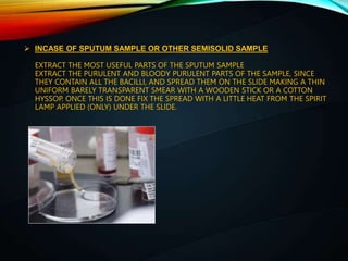 himalay baruah acid fast staining.pptx