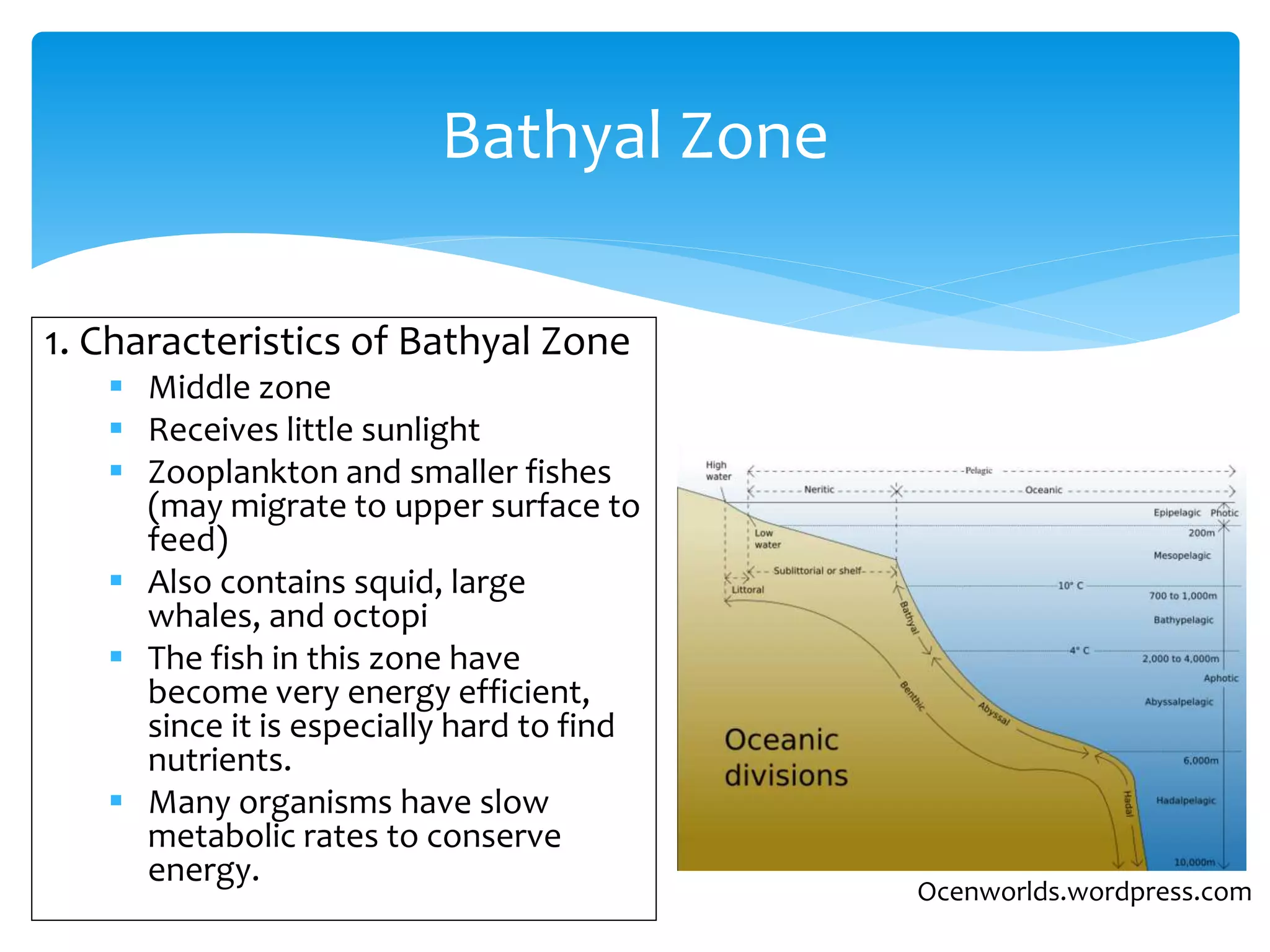 STRATIFICATION OF MARINE ECOSYSTEM | PPTX
