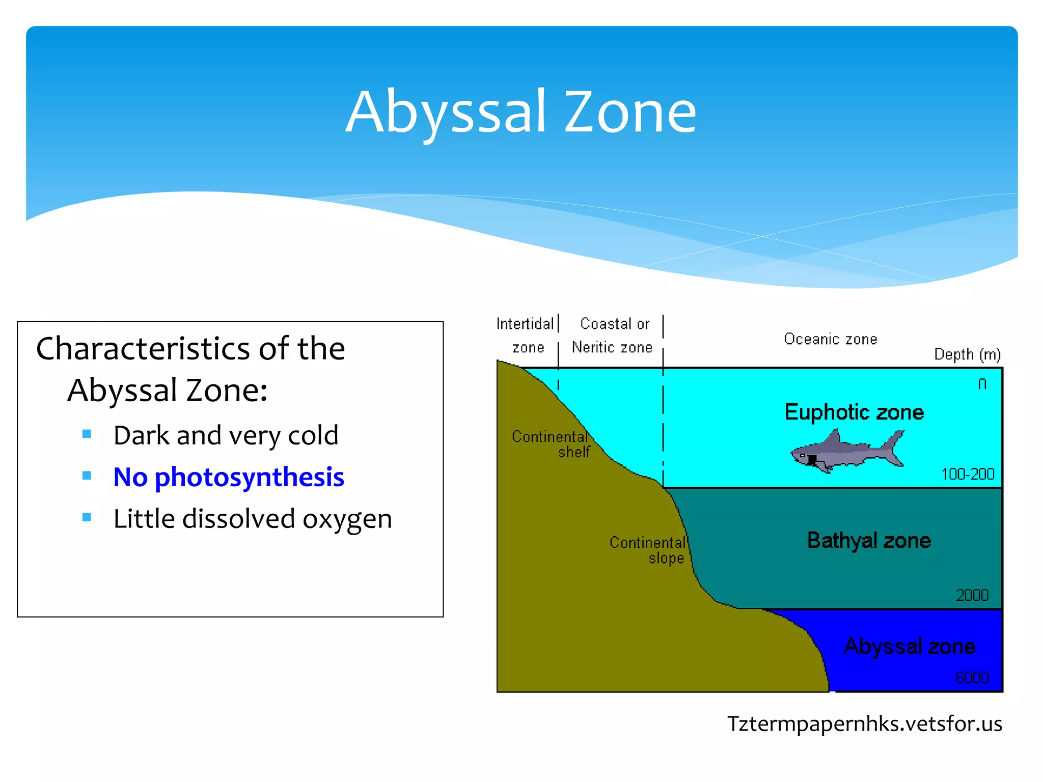 STRATIFICATION OF MARINE ECOSYSTEM | PPTX