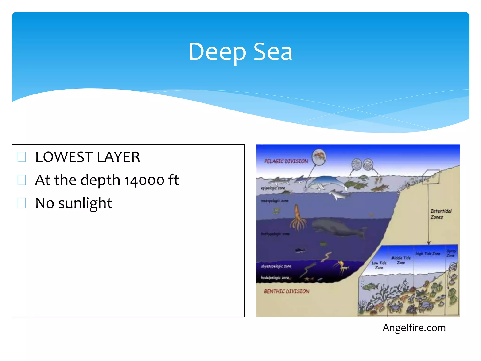 STRATIFICATION OF MARINE ECOSYSTEM | PPTX