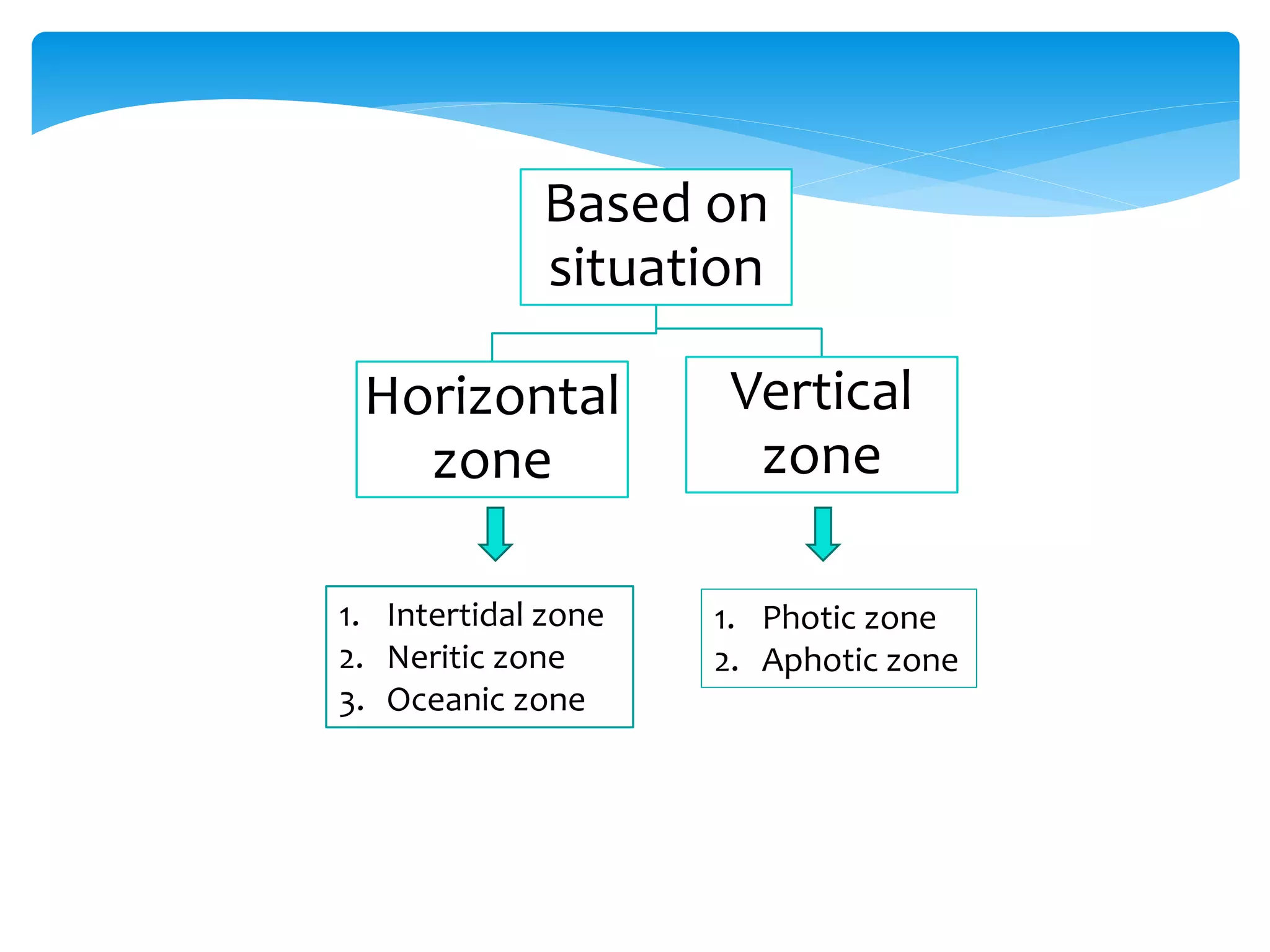 STRATIFICATION OF MARINE ECOSYSTEM | PPTX