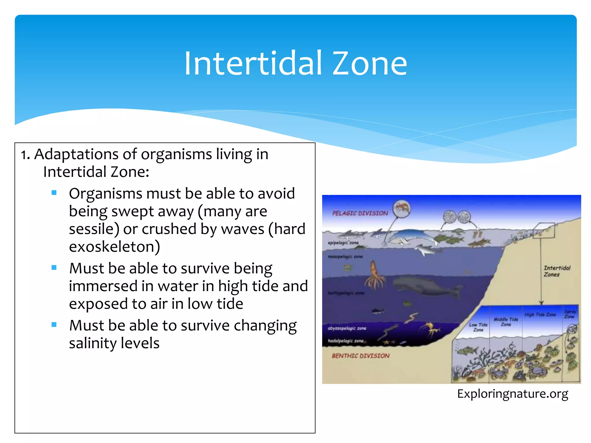 STRATIFICATION OF MARINE ECOSYSTEM | PPTX