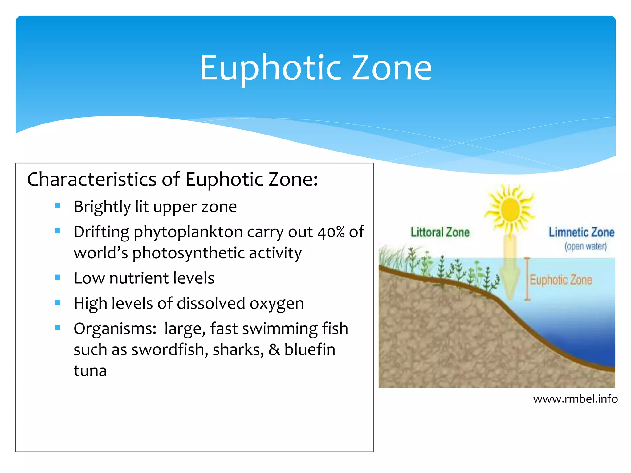 STRATIFICATION OF MARINE ECOSYSTEM | PPTX