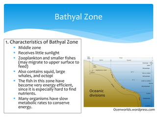 STRATIFICATION OF MARINE ECOSYSTEM | PPTX