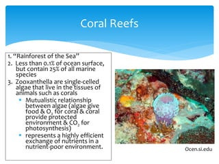 STRATIFICATION OF MARINE ECOSYSTEM | PPTX