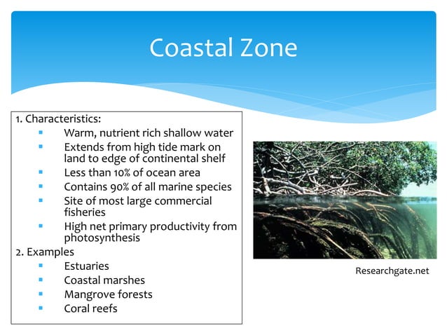 STRATIFICATION OF MARINE ECOSYSTEM | PPTX | Geography | Science