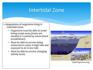 STRATIFICATION OF MARINE ECOSYSTEM | PPTX