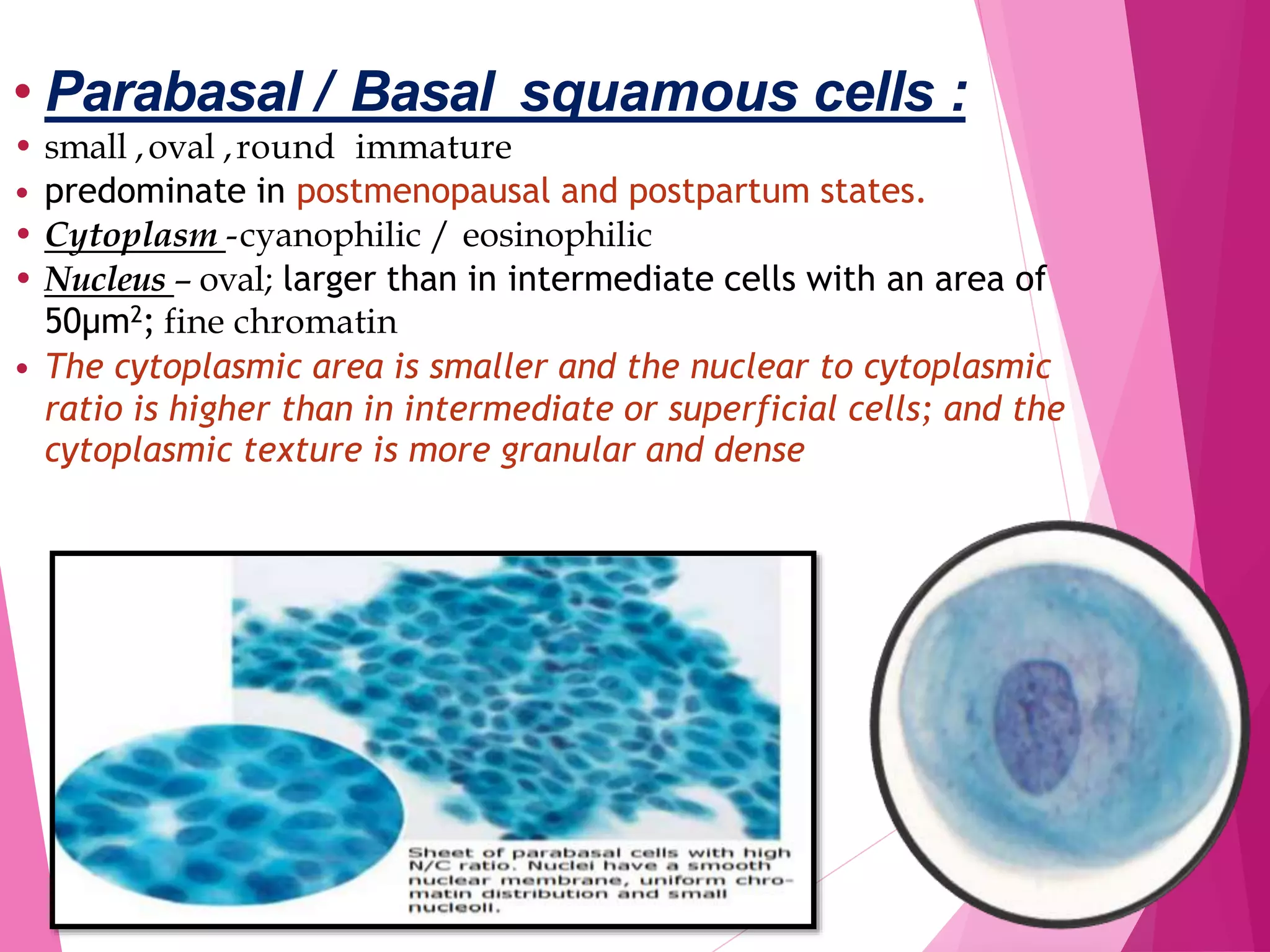 Bethesda system for cervix cytology | PPTX