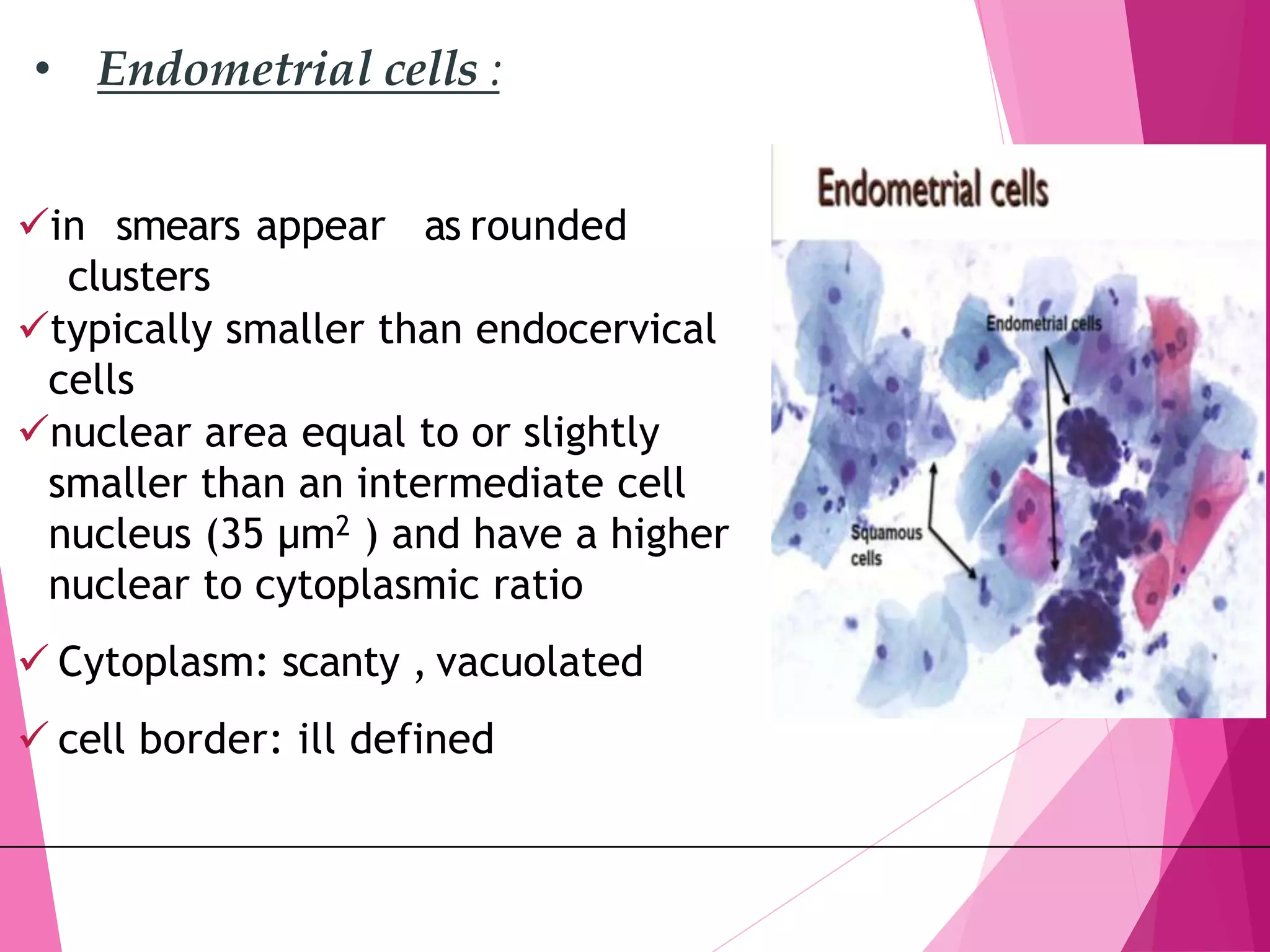 Bethesda system for cervix cytology | PPTX