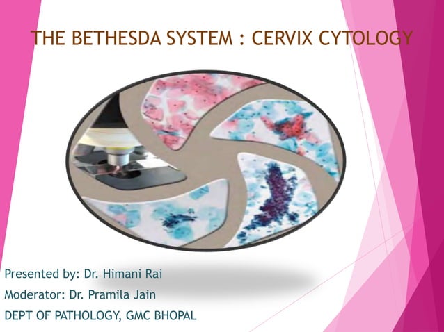 Bethesda system for cervix cytology | PPTX | Reproductive Health ...