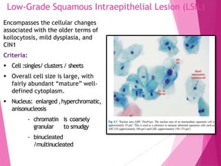 Bethesda system for cervix cytology | PPTX