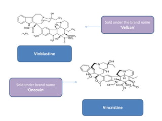 Pharmacognosy, drug discovery, Himani Bhushan | PPT