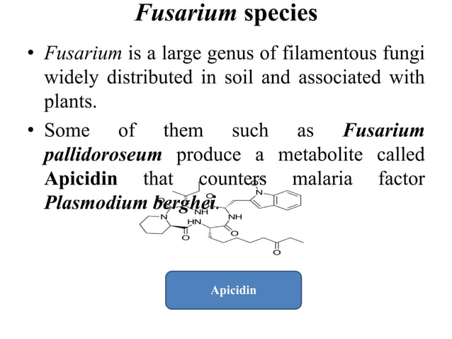 Pharmacognosy, drug discovery, Himani Bhushan | PPT