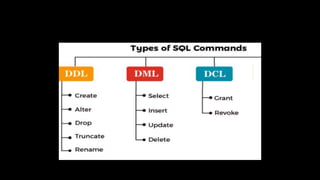 Himani uppal-221302130 WP ppt.pptx