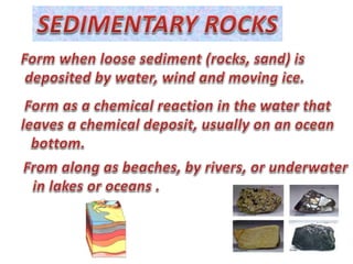 Himansh Bharija grade 5 MRIS 51 | PPTX