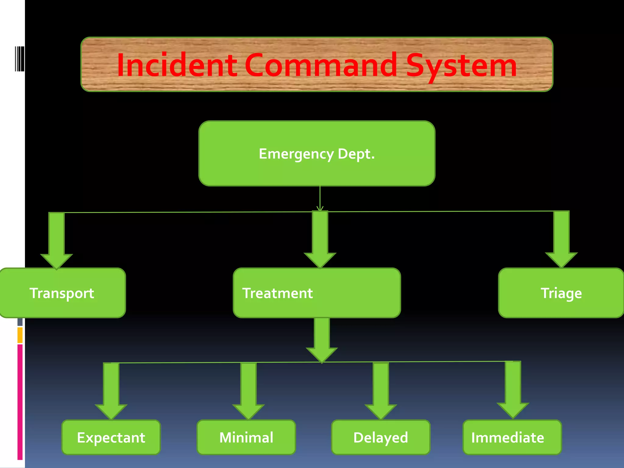 TRIAGE SYSTEM | PPTX