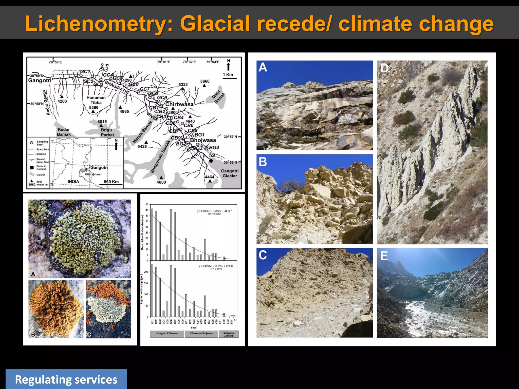 Lichens ecological functions and role in ecosystem services | PDF