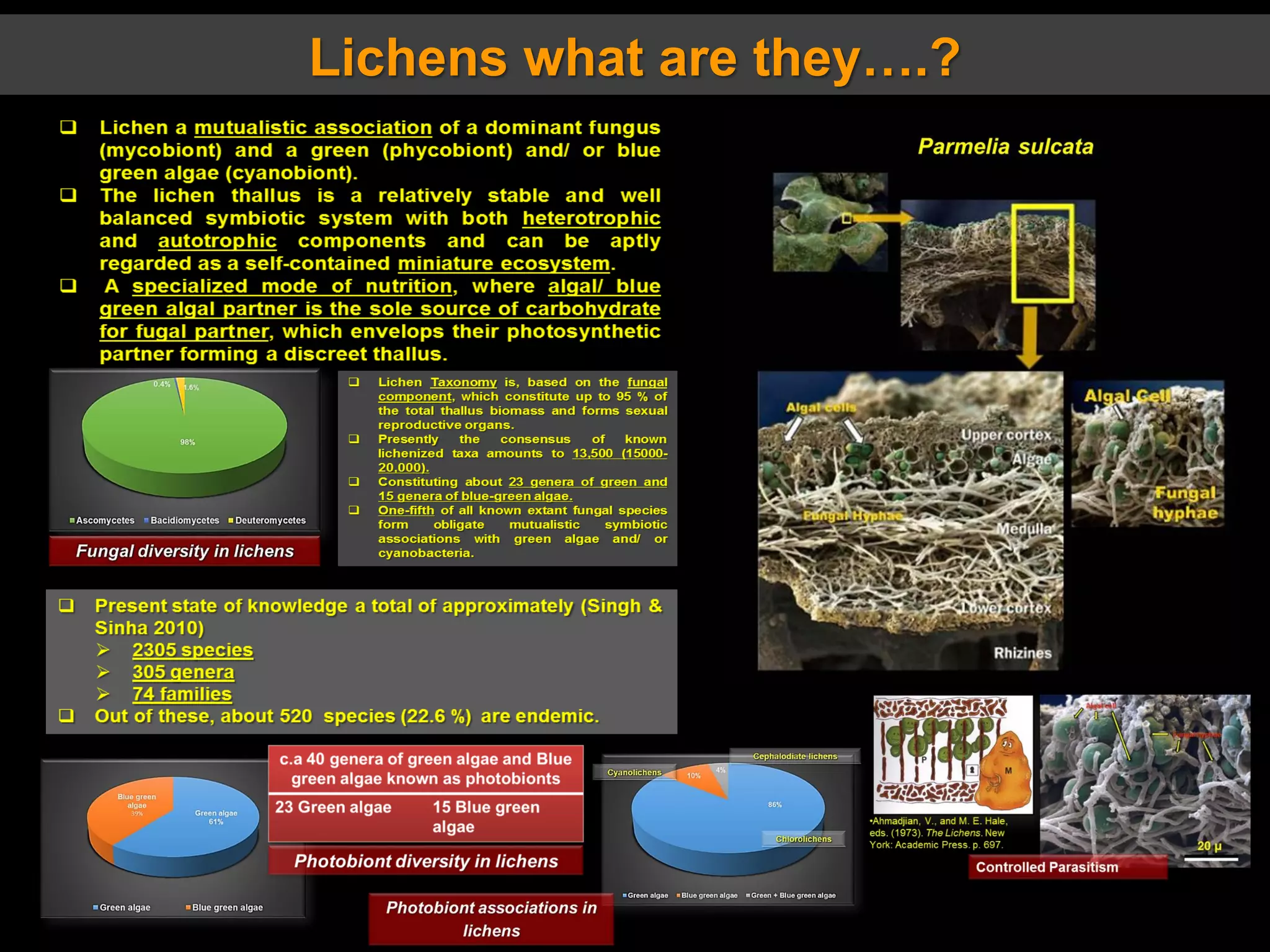 Lichens ecological functions and role in ecosystem services | PDF