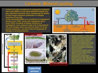 Lichens ecological functions and role in ecosystem services | PDF