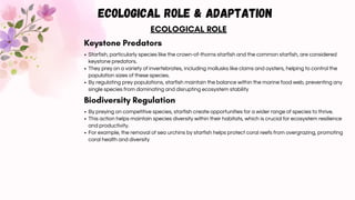 HIMANSHU RAWAT -WATER VASCULAR SYSTEM IN STAR FISH PPT.pdf
