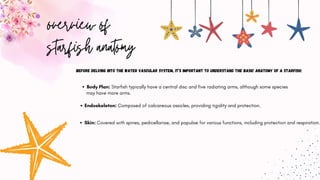 HIMANSHU RAWAT -WATER VASCULAR SYSTEM IN STAR FISH PPT.pdf