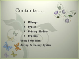 Excretory System | PPT