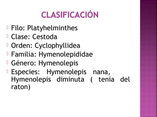 Himenolepiosis y dipilidiosis (1) | PPT